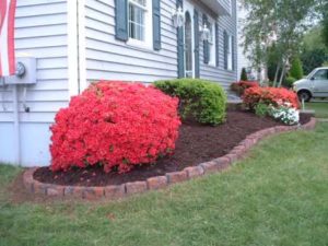 Cobblestones - Belgium Block - River Rock - Brick & Man-Made Curbstone ...